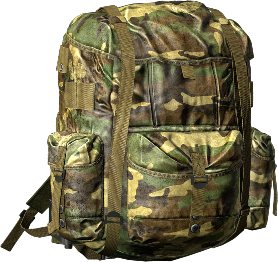 Field Backpack - DayZ Wiki