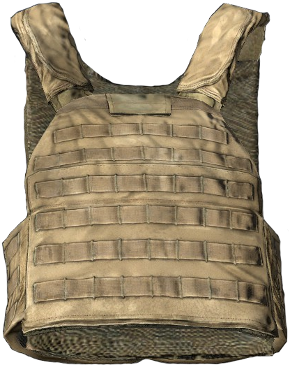 Plate Carrier - Dayz Wiki